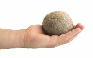 What did Roger say when he got caught throwing rocks at Henry?